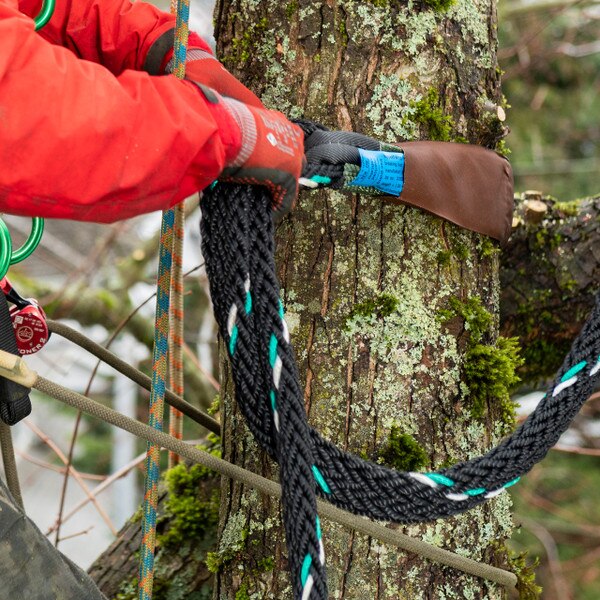 tree lowering rope